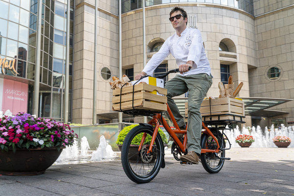 Tern燕鸥折叠车官方网站